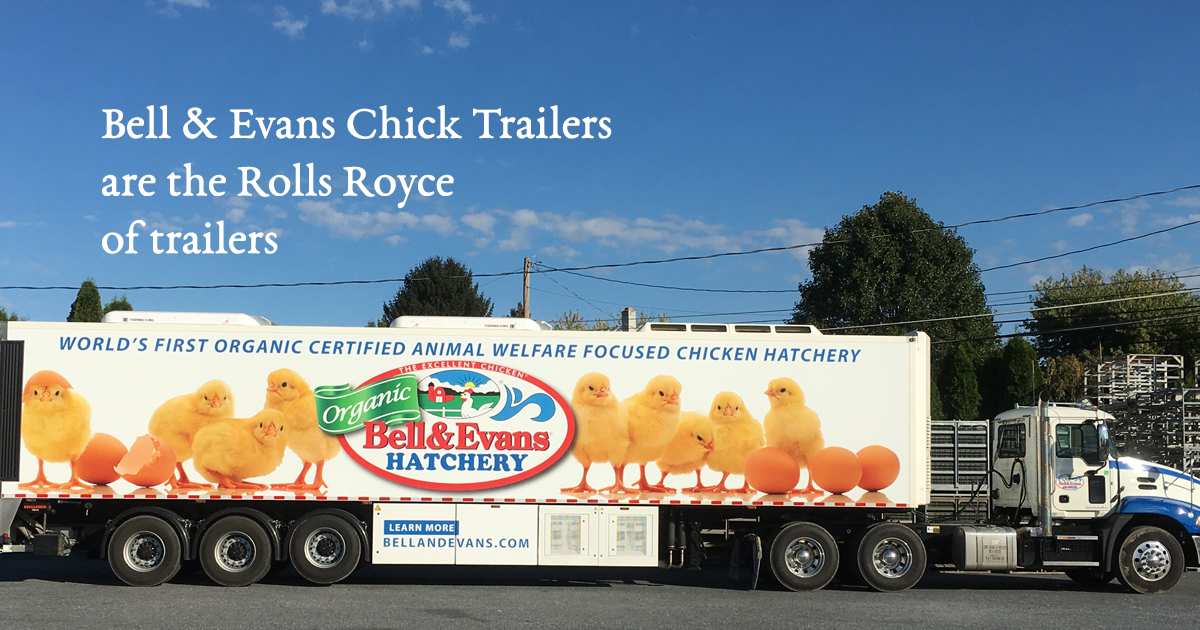No Cut Corners – How Even Our Chick Transport Trailers Exceed the Norm ...