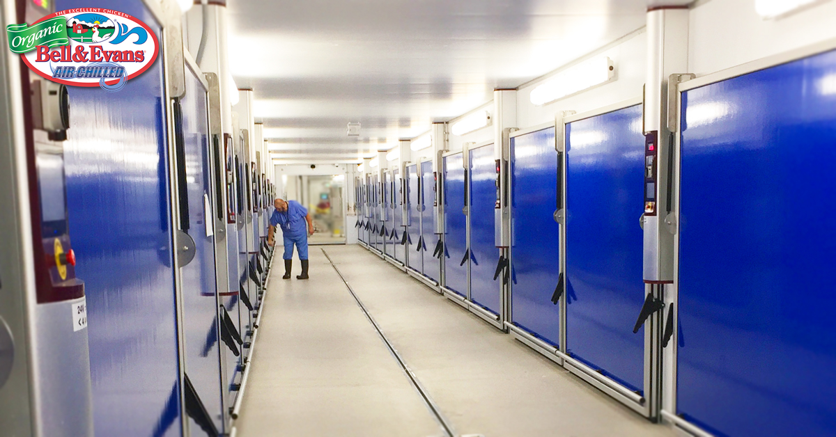 America’s Only Early Feed, Organic Chicken Hatchery Expands Capacity ...